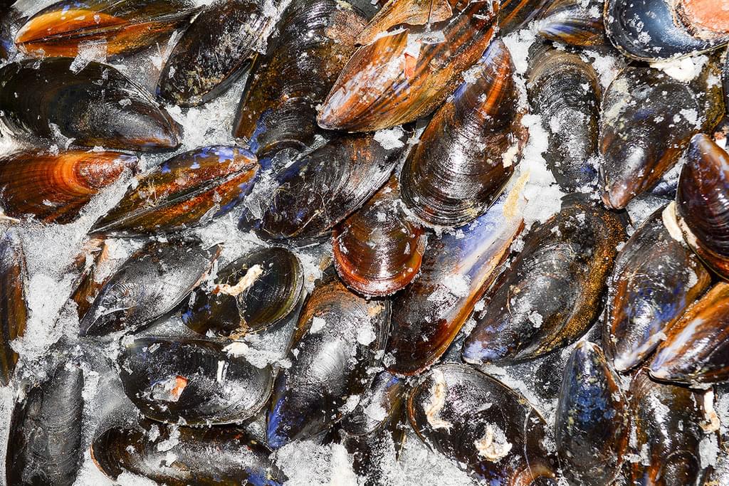 Image shows frozen mussels
