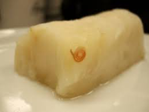 Image shows a herring worm larva